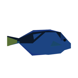 Blue Tang | Fisch Wiki | Fandom