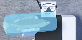 Walleye | Fisch Wiki | Fandom