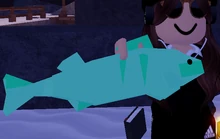 Perch | Fisch Wiki | Fandom