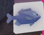 Pumpkinseed | Fisch Wiki | Fandom