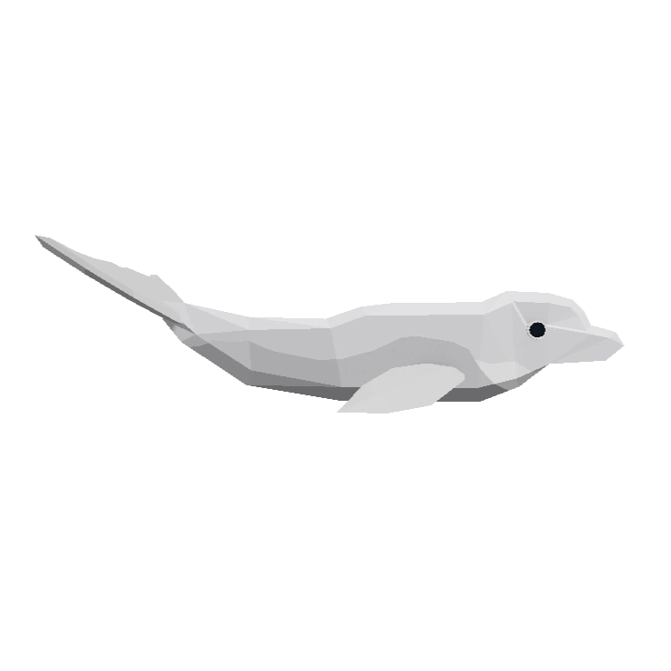 Beluga | Fisch Wiki | Fandom