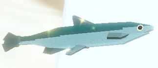 Anchovy | Fisch Wiki | Fandom