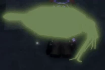 Cockatoo Squid | Fisch Wiki | Fandom