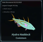 Insect | Fisch Wiki | Fandom