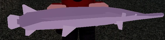 Alligator Gar | Fisch Wiki | Fandom