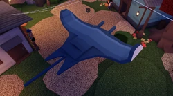 Manta Ray | Fisch Wiki | Fandom