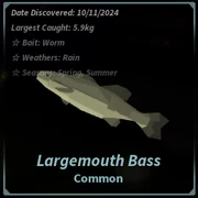 Worm | Fisch Wiki | Fandom