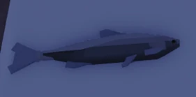 Sardine | Fisch Wiki | Fandom