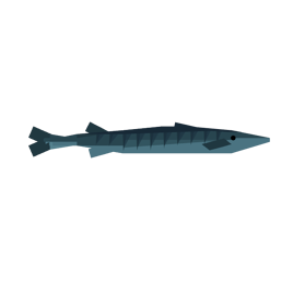 Barracuda | Fisch Wiki | Fandom