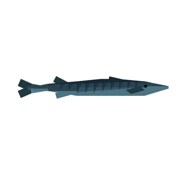 Barracuda | Fisch Wiki | Fandom