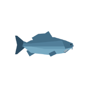 Seaweed (Bait) | Fisch Wiki | Fandom