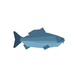 Grey Carp | Fisch Wiki | Fandom