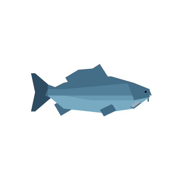 Grey Carp | Fisch Wiki | Fandom