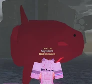 Sunfish | Fisch Wiki | Fandom