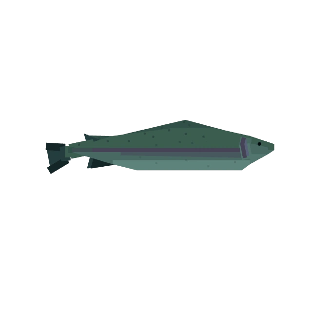 Trout | Fisch Wiki | Fandom