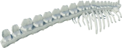 Mossjaw Spine | Fisch Wiki | Fandom