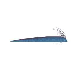 Oarfish | Fisch Wiki | Fandom