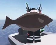 Halibut | Fisch Wiki | Fandom