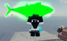 Bluefin Tuna | Fisch Wiki | Fandom