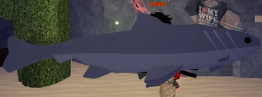 Cobia | Fisch Wiki | Fandom