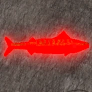 Mackerel | Fisch Wiki | Fandom