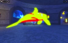 Orca | Fisch Wiki | Fandom