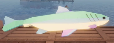 Cobia | Fisch Wiki | Fandom