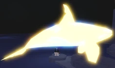 Ancient Orca | Fisch Wiki | Fandom