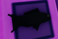 Bluefish | Fisch Wiki | Fandom