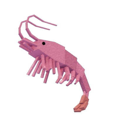 Shrimp (Bait) | Fisch Wiki | Fandom