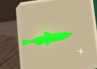 Anchovy | Fisch Wiki | Fandom