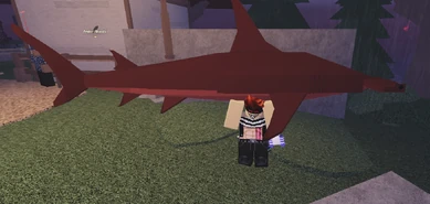 Great Hammerhead Shark | Fisch Wiki | Fandom