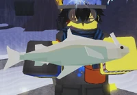 Rabbitfish | Fisch Wiki | Fandom