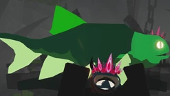 Amblypterus | Fisch Wiki | Fandom