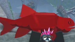 Amblypterus | Fisch Wiki | Fandom