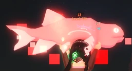 Amblypterus | Fisch Wiki | Fandom