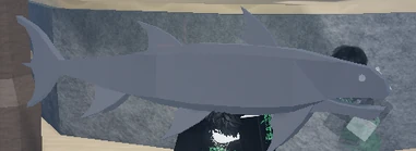 Onychodus | Fisch Wiki | Fandom
