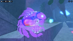 Celestial Koi | Fisch Wiki | Fandom