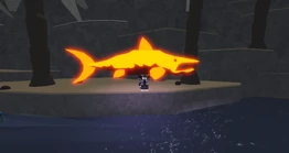 Helicoprion | Fisch Wiki | Fandom