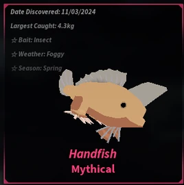 Handfish | Fisch Wiki | Fandom