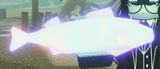 Perch | Fisch Wiki | Fandom