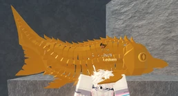 Phanerorhynchus | Fisch Wiki | Fandom