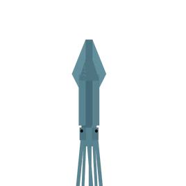 Squid | Fisch Wiki | Fandom