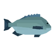 Worm | Fisch Wiki | Fandom