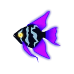 Ethereal Abyss Pool | Fisch Wiki | Fandom