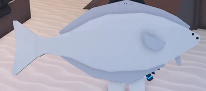 Halibut | Fisch Wiki | Fandom