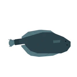 Flounder | Fisch Wiki | Fandom