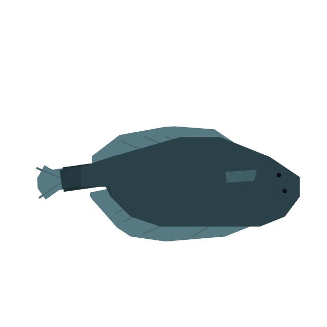 Flounder | Fisch Wiki | Fandom