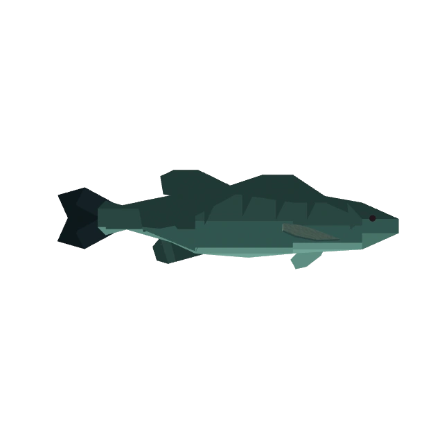 Redeye Bass | Fisch Wiki | Fandom