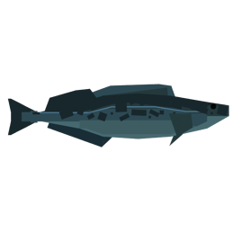 Lingcod | Fisch Wiki | Fandom